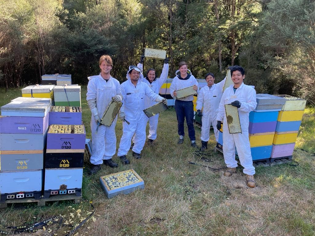 Life as a Three Peaks Manuka Honey beekeeper - The Perry Group